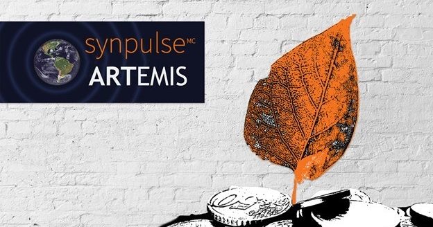 Synpulse | Does the Risk Transfer Market Effectively Incorporate ESG…